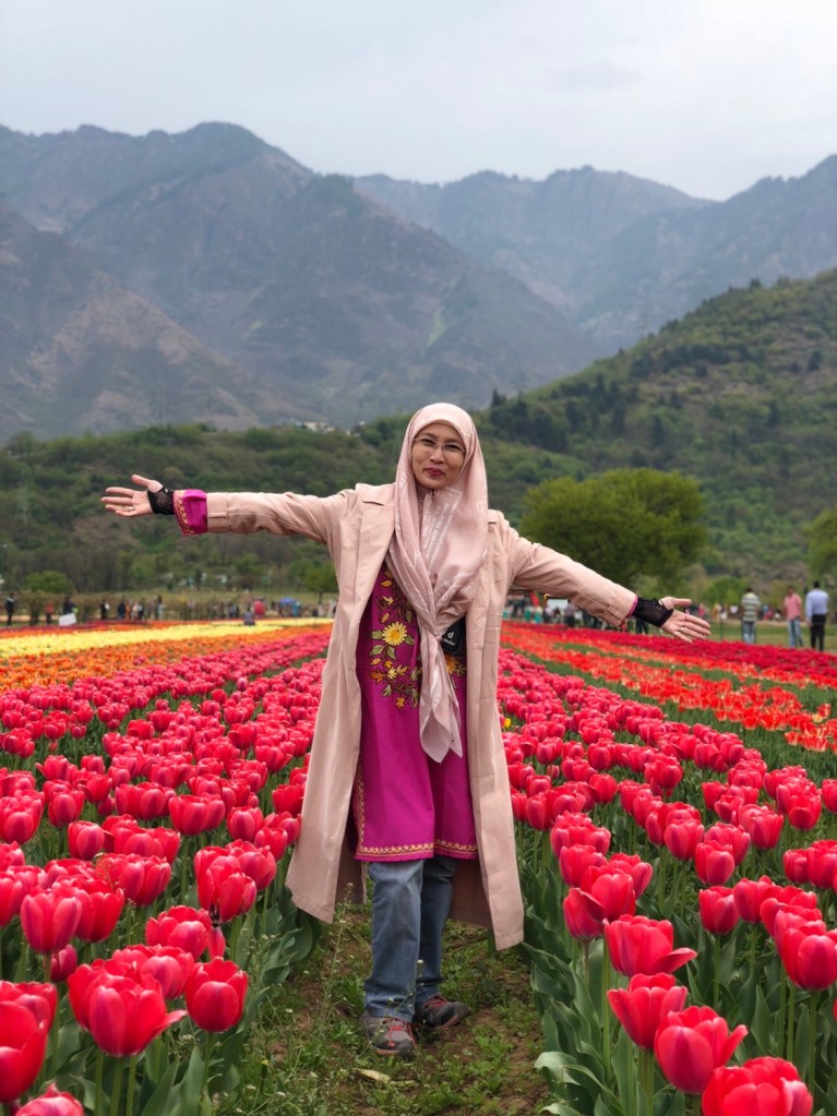 Spring Trip 2018: Itinerary & Budget – Kashmir – Azura Travelogue